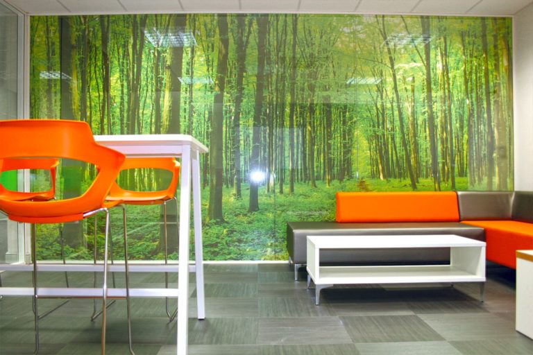 Evolution Waste Management - Proici