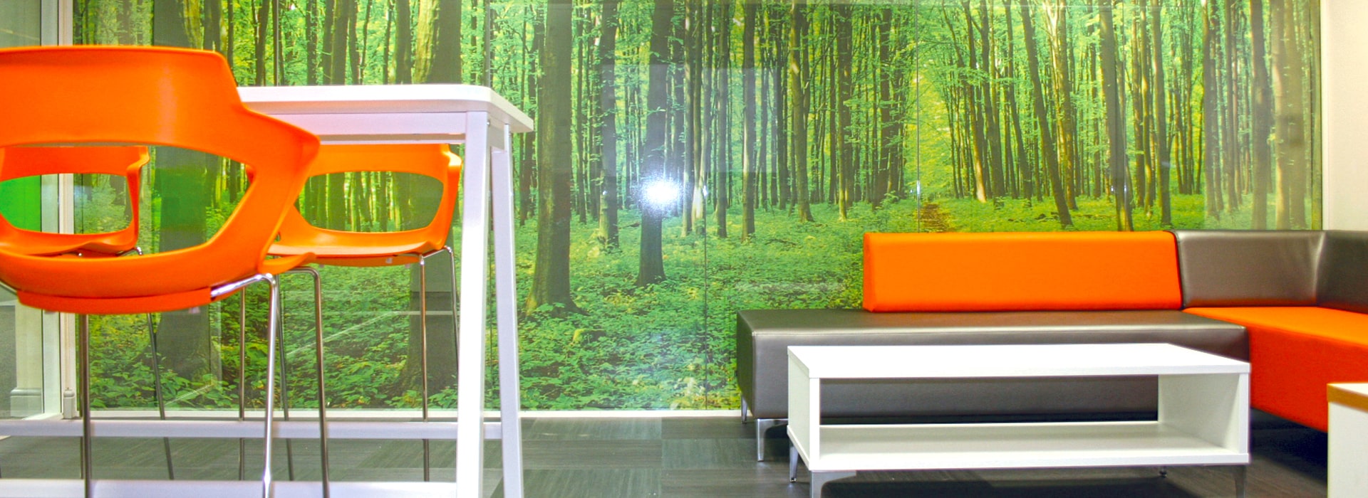 Evolution Waste Management - Proici